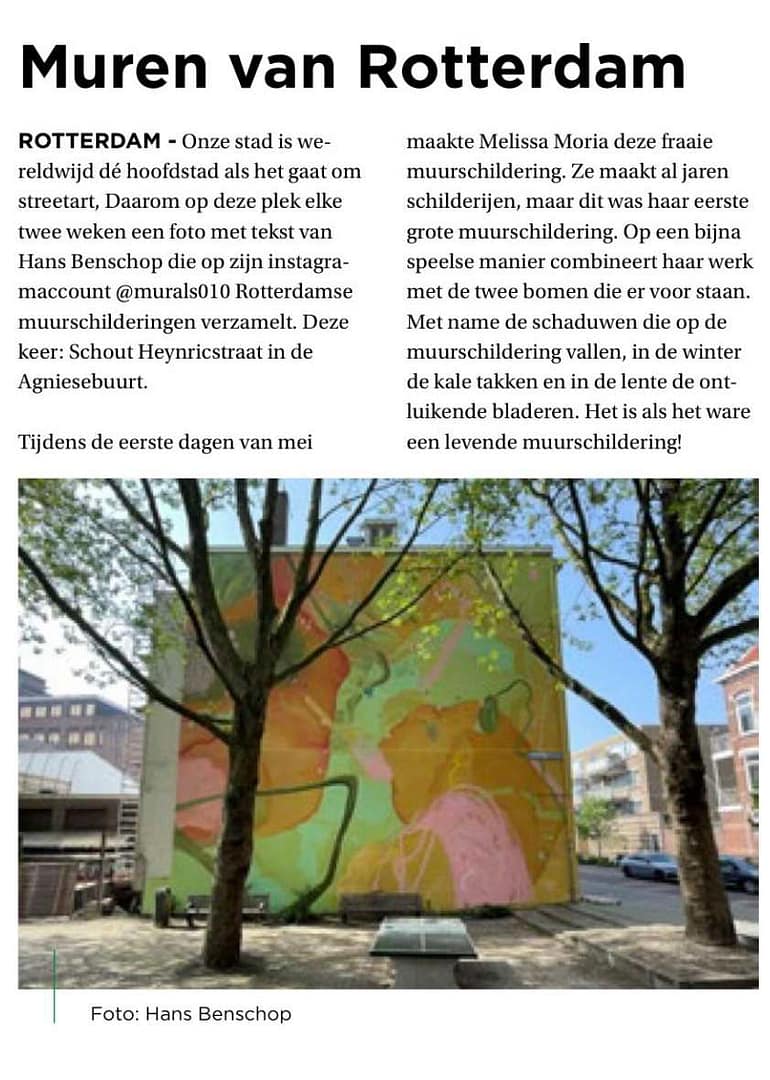 Muren van Rotterdam